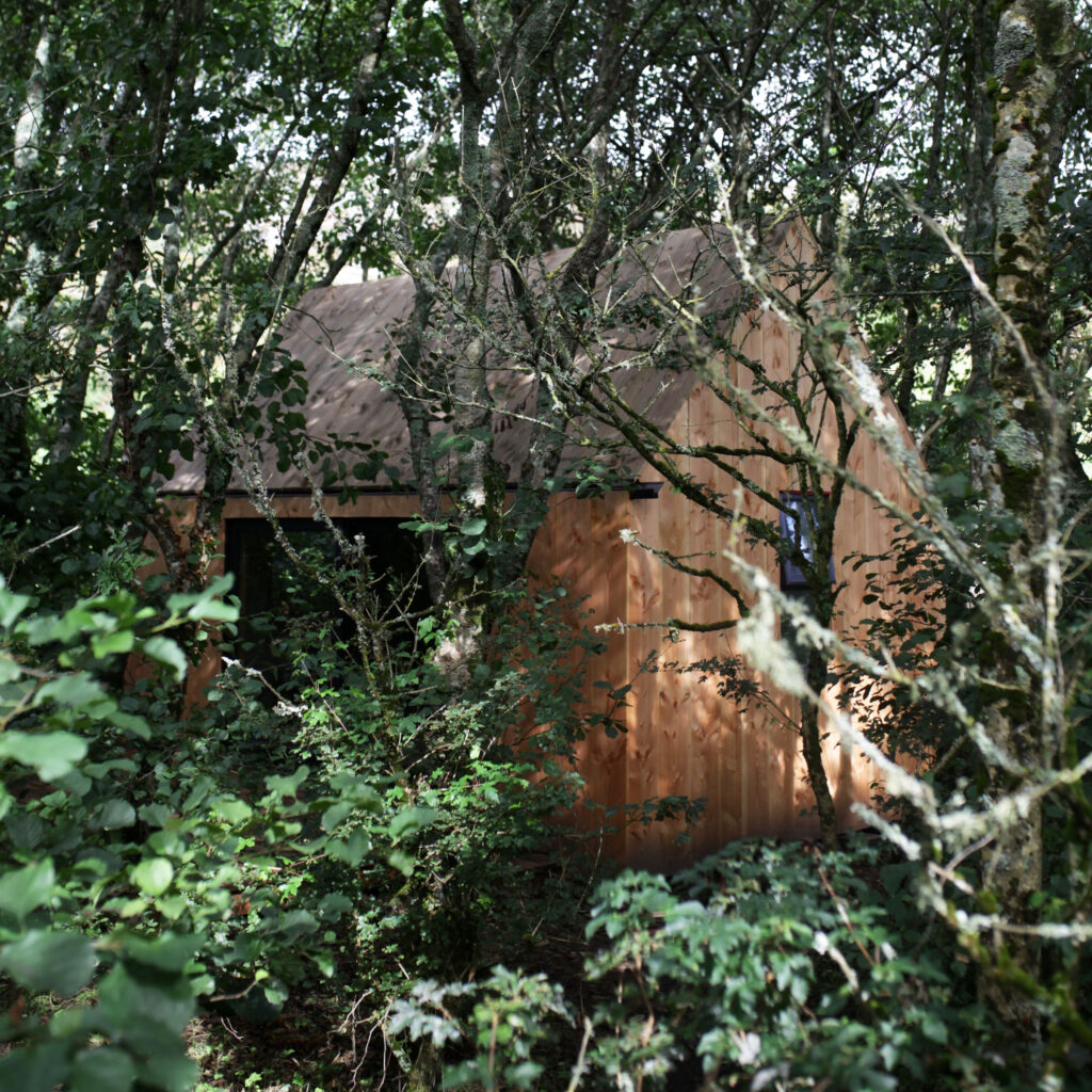 NATIVE Cabins